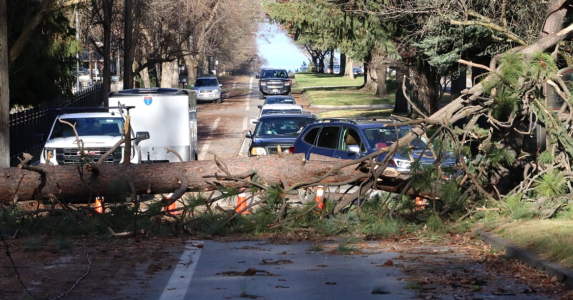 Toppled trees, power outages in North Idaho | Coeur d'Alene Press