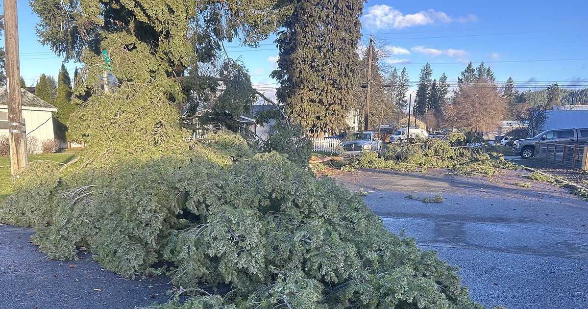 Toppled trees, power outages in North Idaho | Coeur d'Alene Press