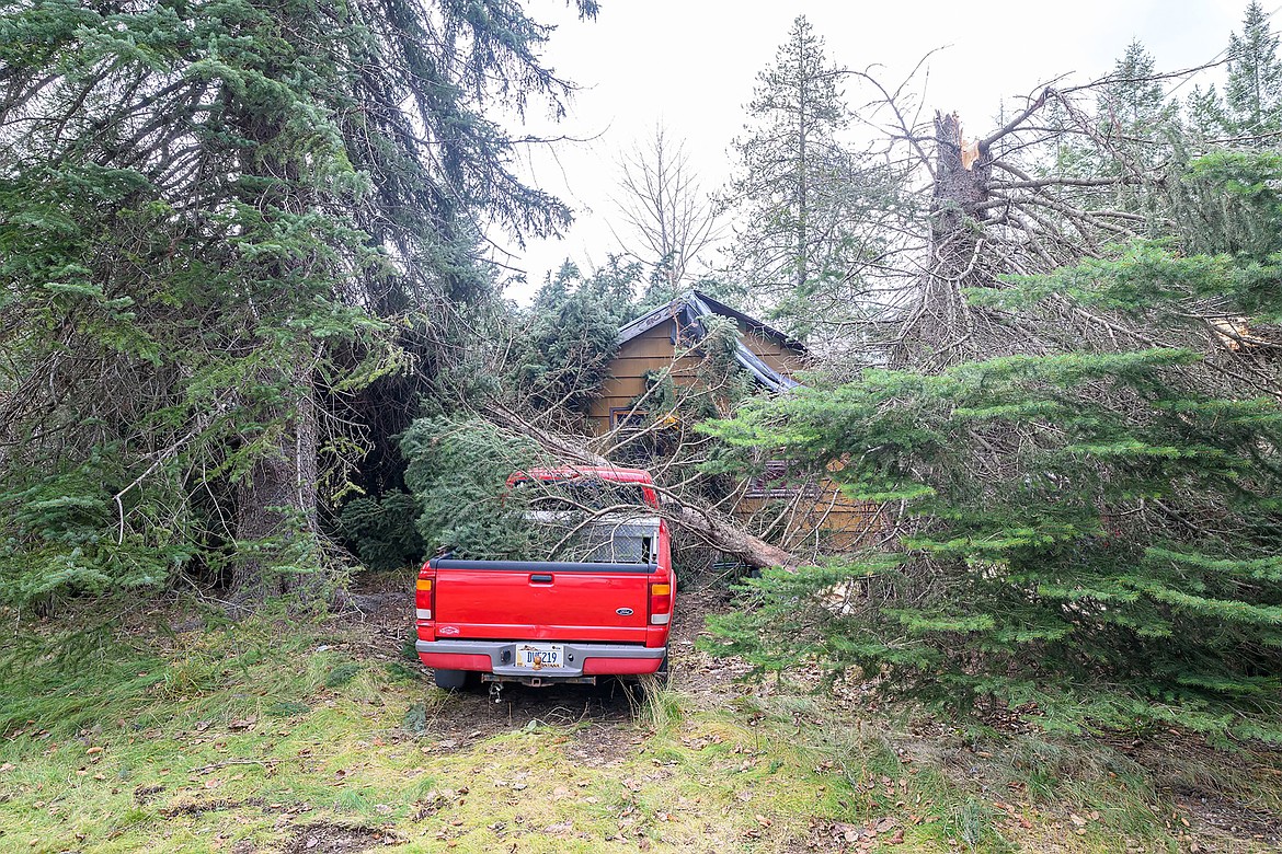 A wild week in weather | Hungry Horse News