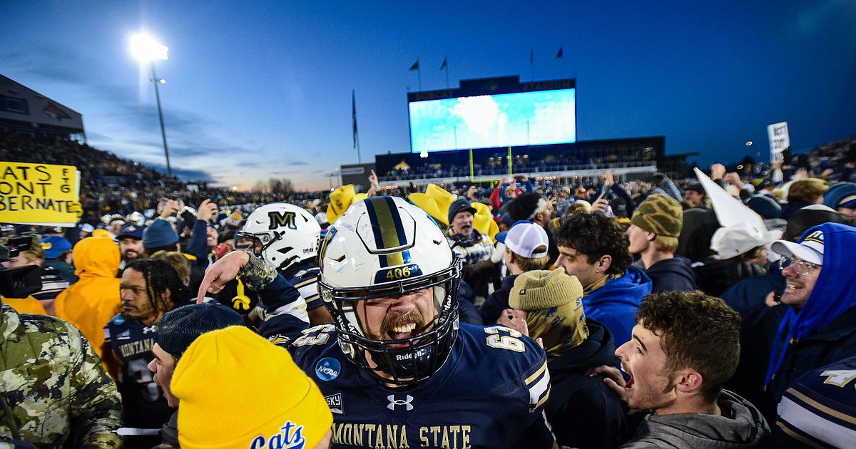 Back-to-back Cats | Hagadone News Network