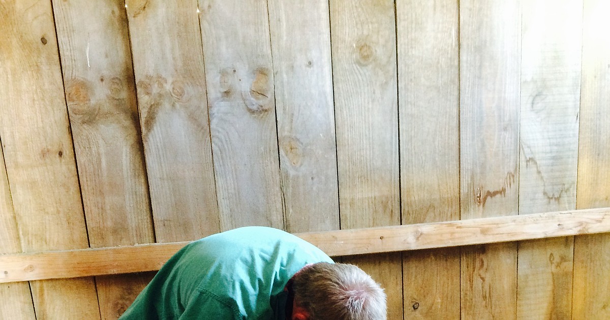 The tenacious veterinarian’s story | Hagadone News Network