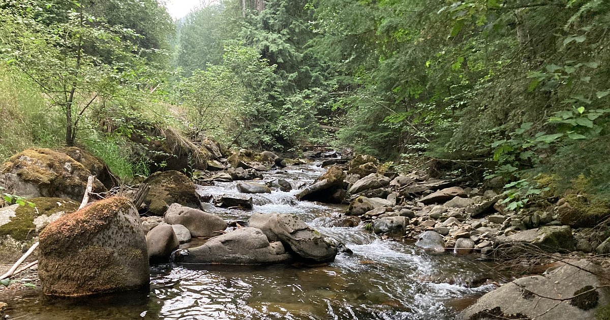 Conservation groups file lawsuit challenging commercial marina in Idaho ...