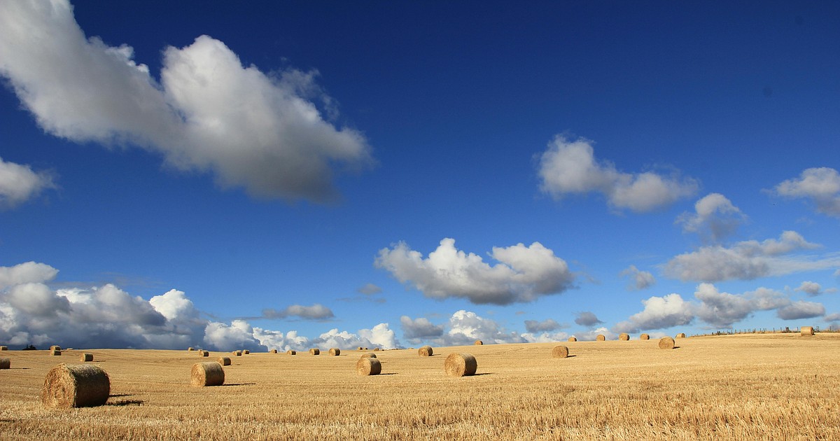 Providing the toolbox for growers: Northwest Hay Expo coming to Tri ...