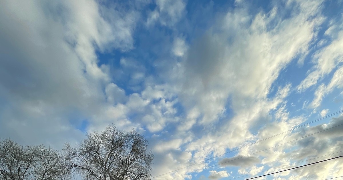 One arrested on warrants after attempting to hide | Hagadone News Network