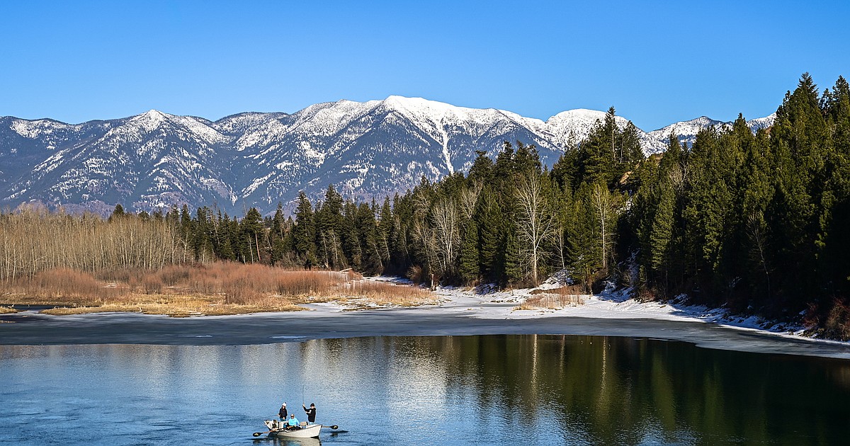 Flathead Basin fish free of forever chemicals | Valley Press/Mineral ...
