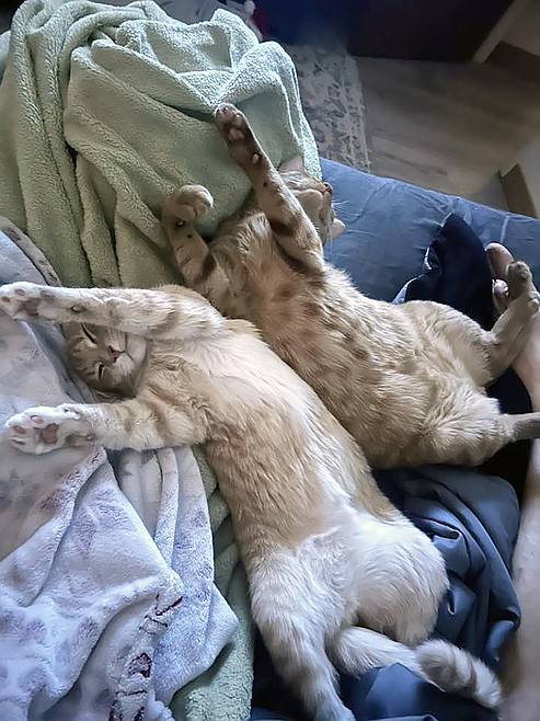 Best Shot - Jan. 7, 2026 | Hagadone News Network