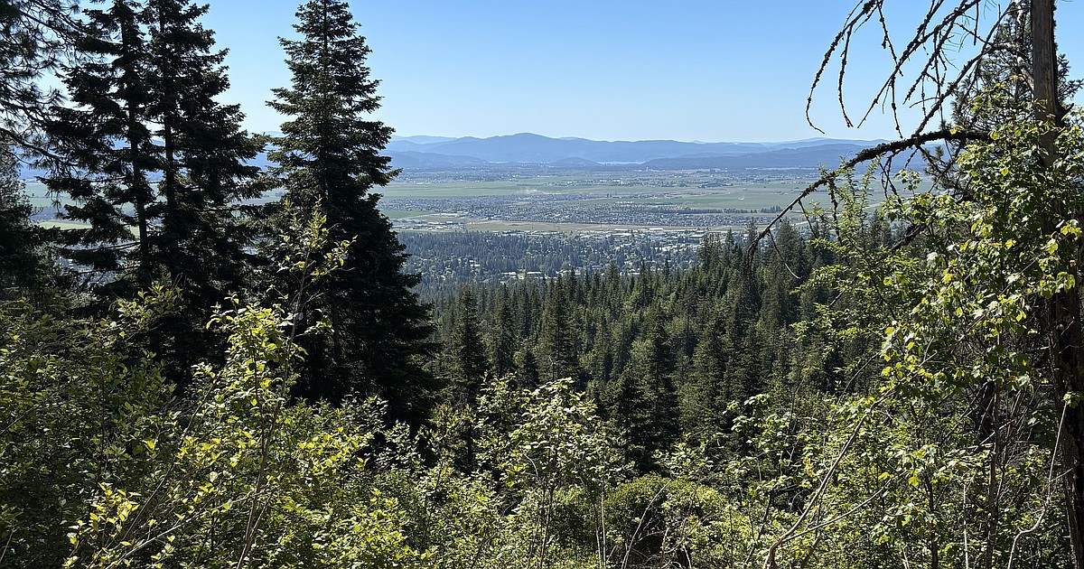 OUR GEM: Understanding aquifer protection through a practitioner’s lens ...