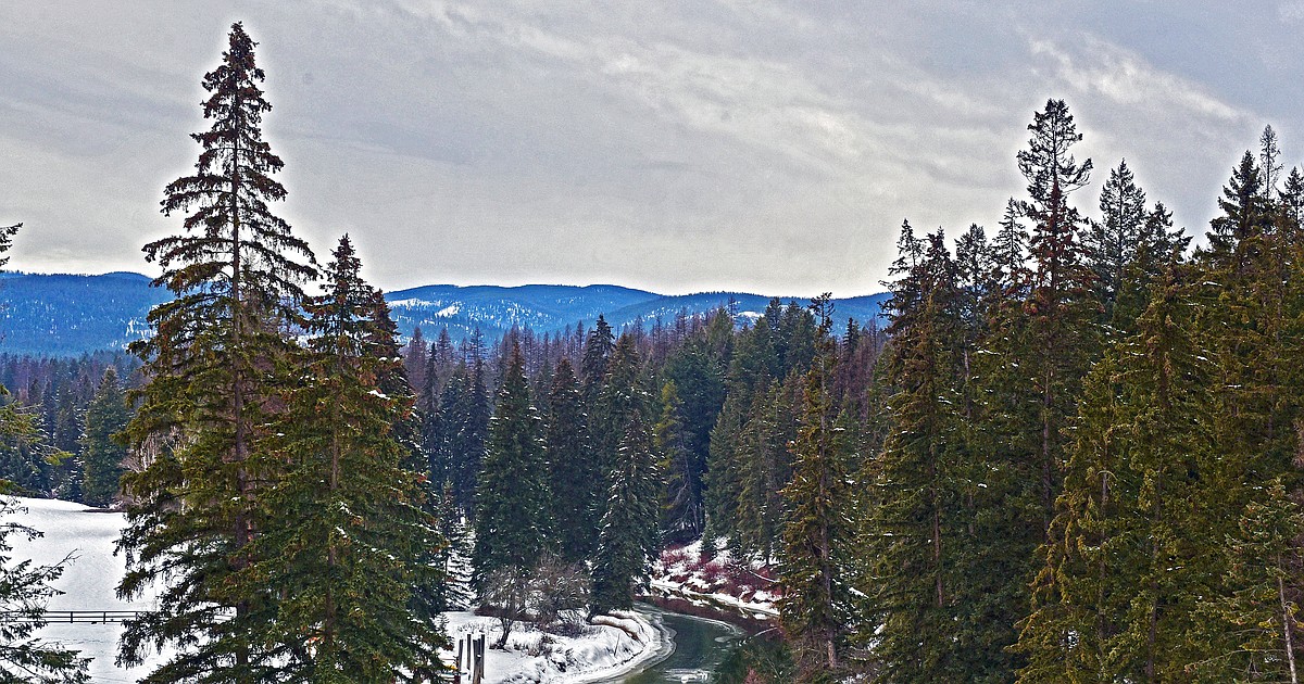 Conservation easement along Stillwater River grows, preserving habitat ...