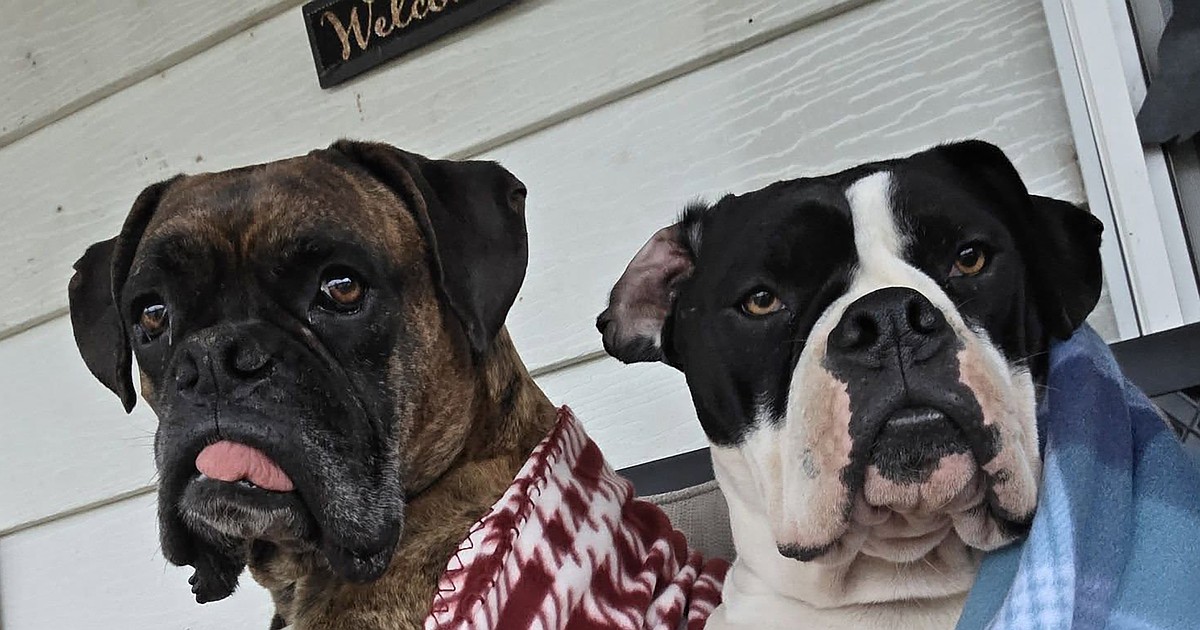 Best Shot - Jan. 14, 2026 | Hagadone News Network