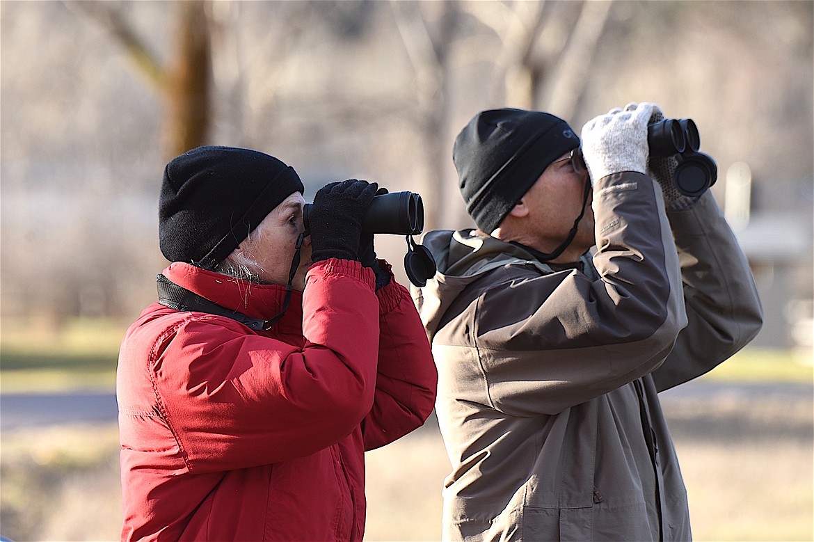 A new species makes for an unforgettable Christmas bird count | Western ...