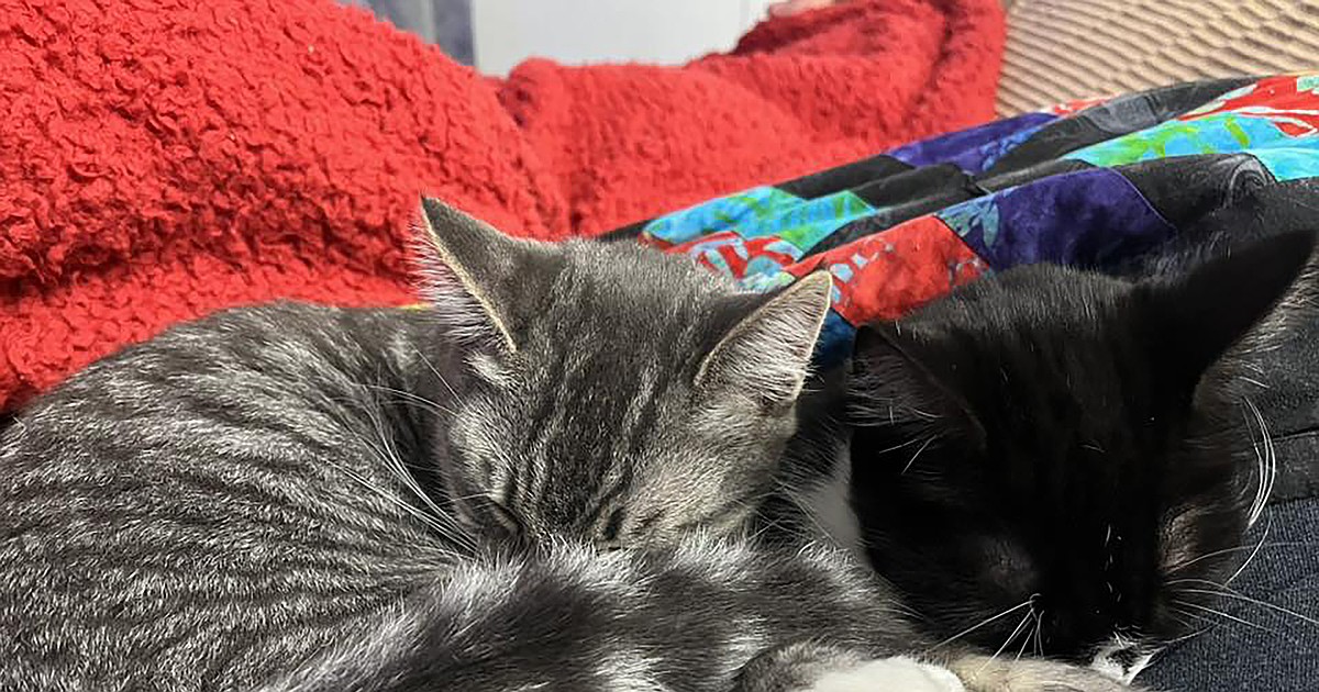 Best Shot - Jan. 21, 2026 | Hagadone News Network