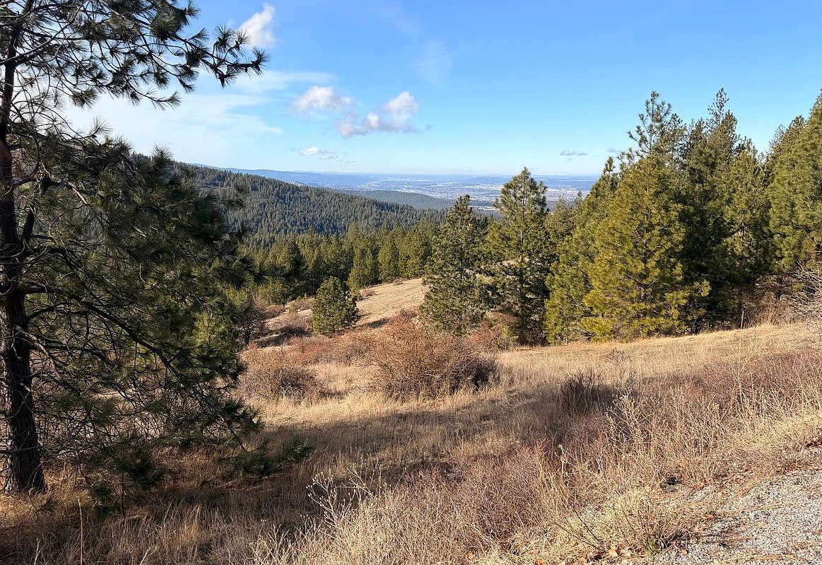 300 acres on Mica Peak Foothills will be part of newly conserved ...