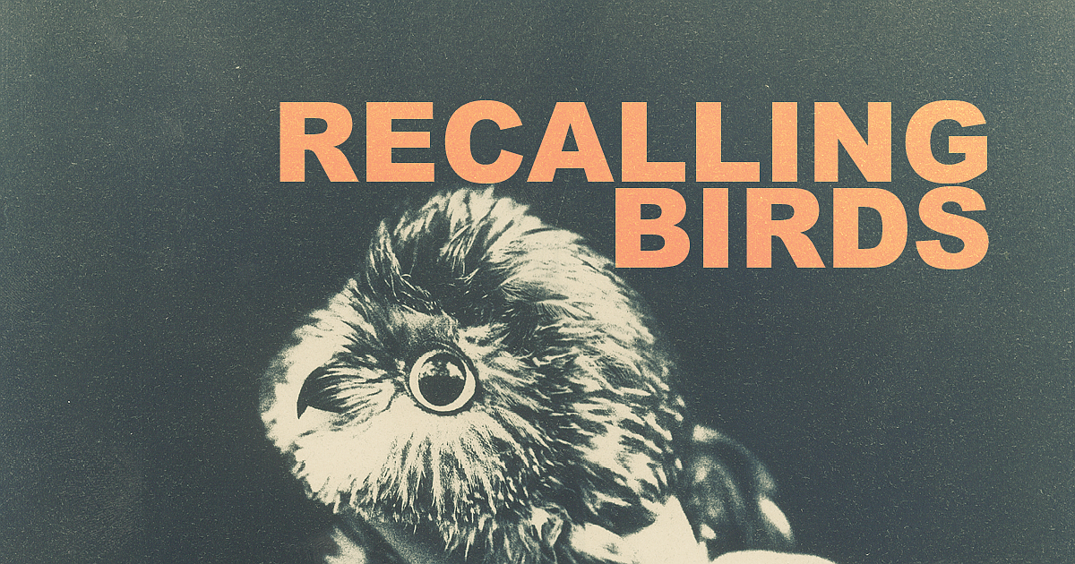 Photography exhibit documents birds in fleeting encounters | Hagadone ...