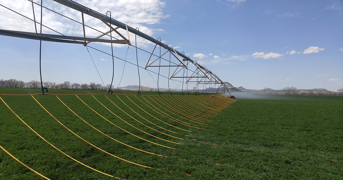 MDI can be an efficient irrigation alternative, WSU researcher says ...