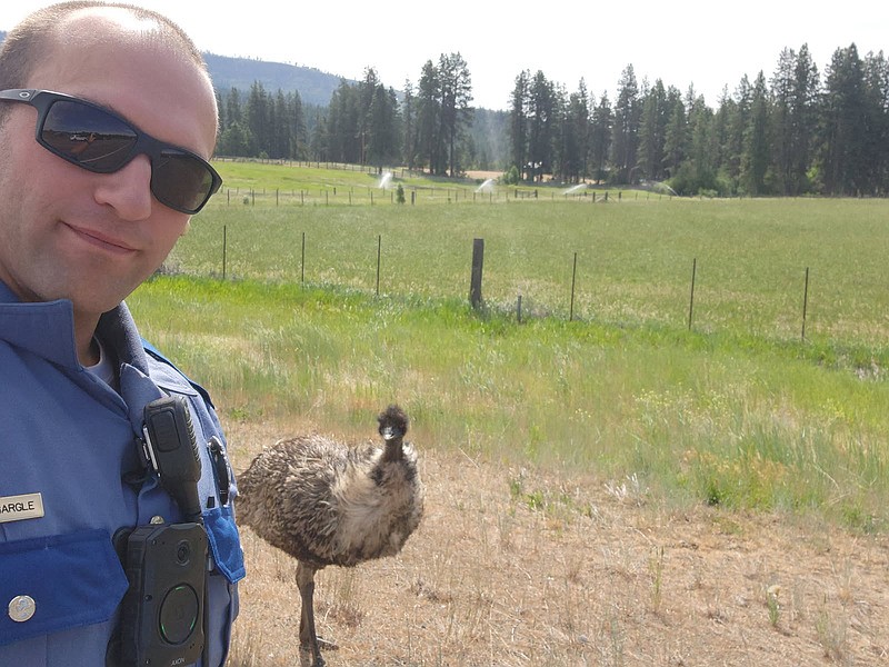 Ellensburg trooper named WSP Trooper of the year | Hagadone News Network