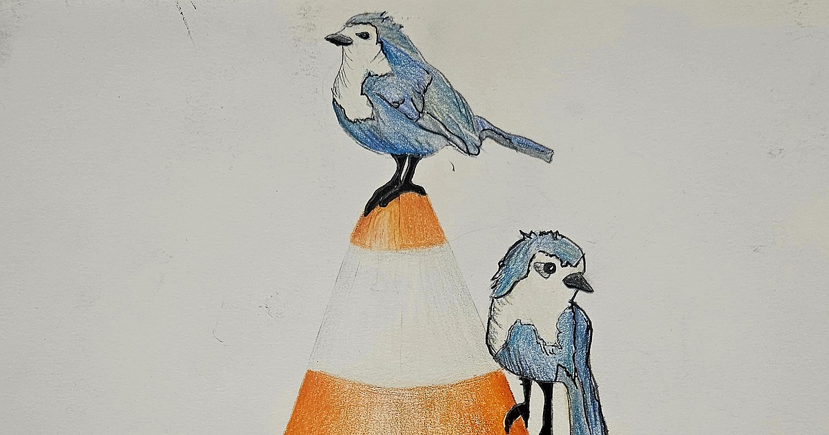 Student Art: ‘Robin Hood’s Hat’ by Edel Brigette | Hagadone News Network