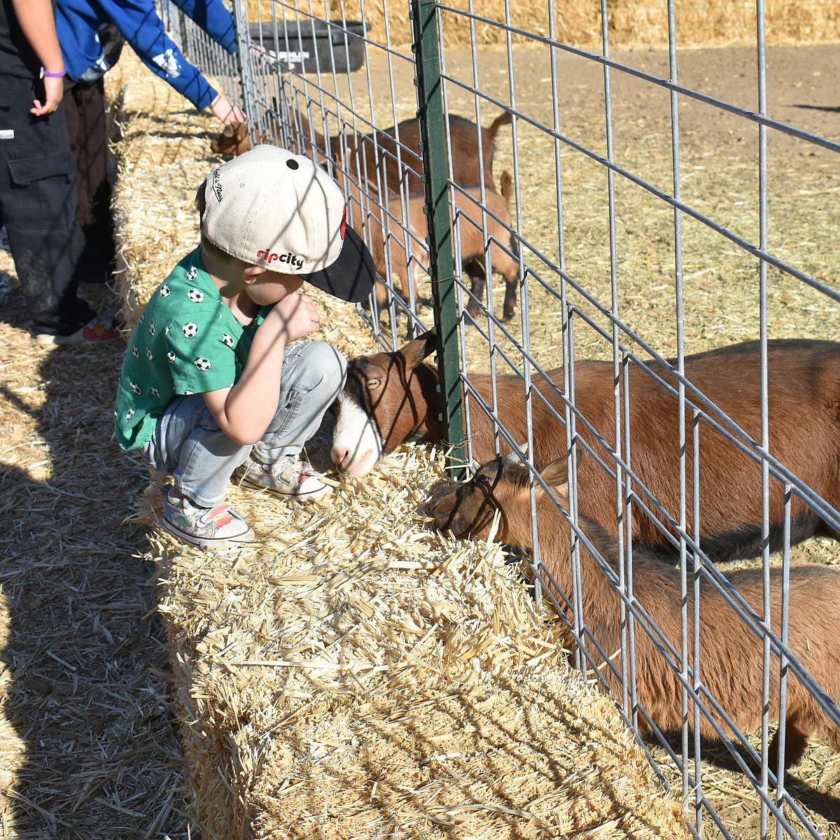 Farm fun | Hagadone News Network
