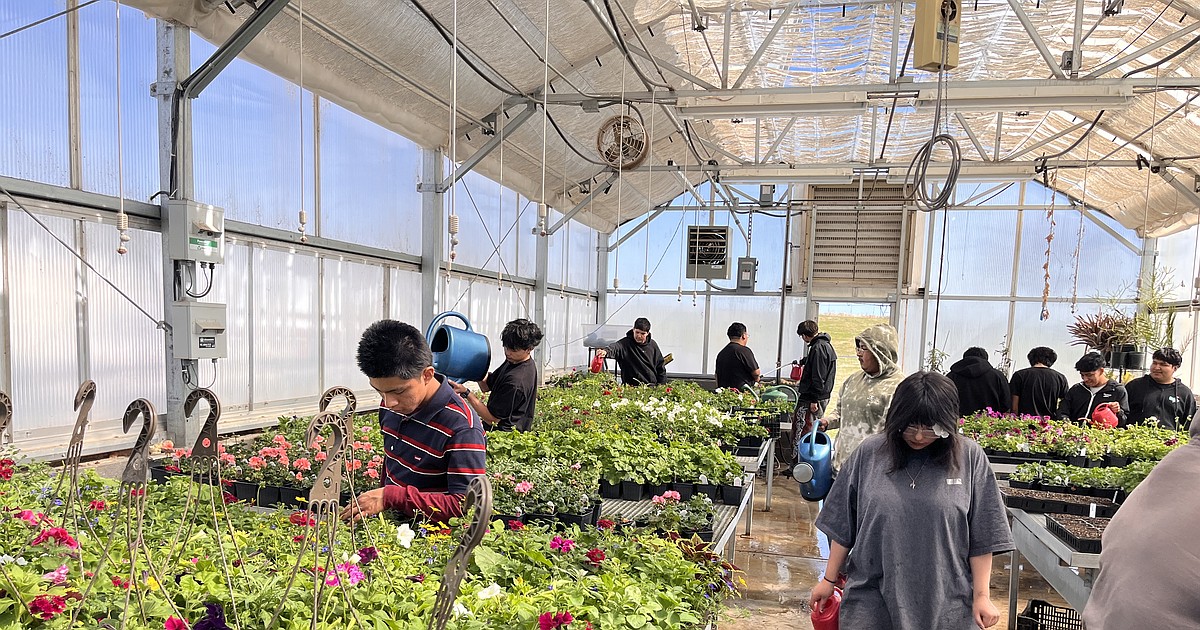 Support students and save some green at FFA plant sales | Columbia ...