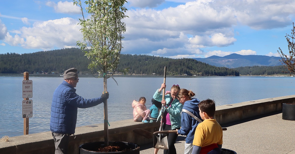 Timeless tree planting tradition continues with Arbor Day celebration ...