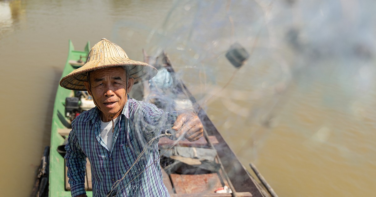 Rare earth mining is poisoning Mekong River tributaries, threatening ...