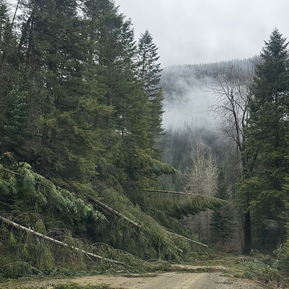 Moon Pass almost open for season | Hagadone News Network