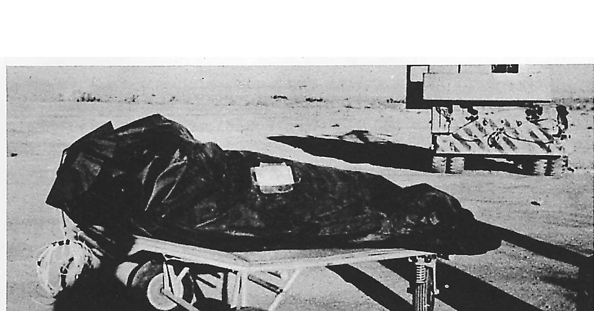 First batch of UFO files is released as Trump urges the public to draw ...