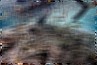 Proposed fishing regs tighten bull trout take on reservoir | Bonner ...