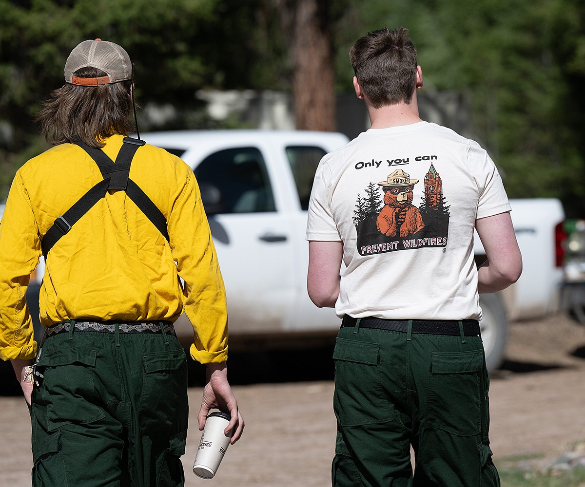 UM licensing partners with Smokey Bear | Valley Press/Mineral Independent