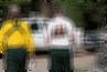 UM licensing partners with Smokey Bear | Valley Press/Mineral Independent