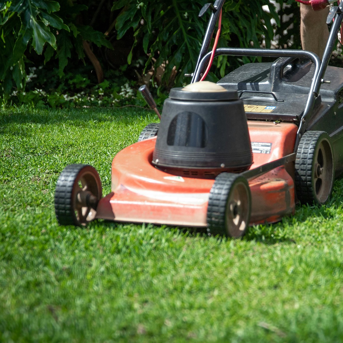 Keep your lawn in shape this summer | Columbia Basin Herald