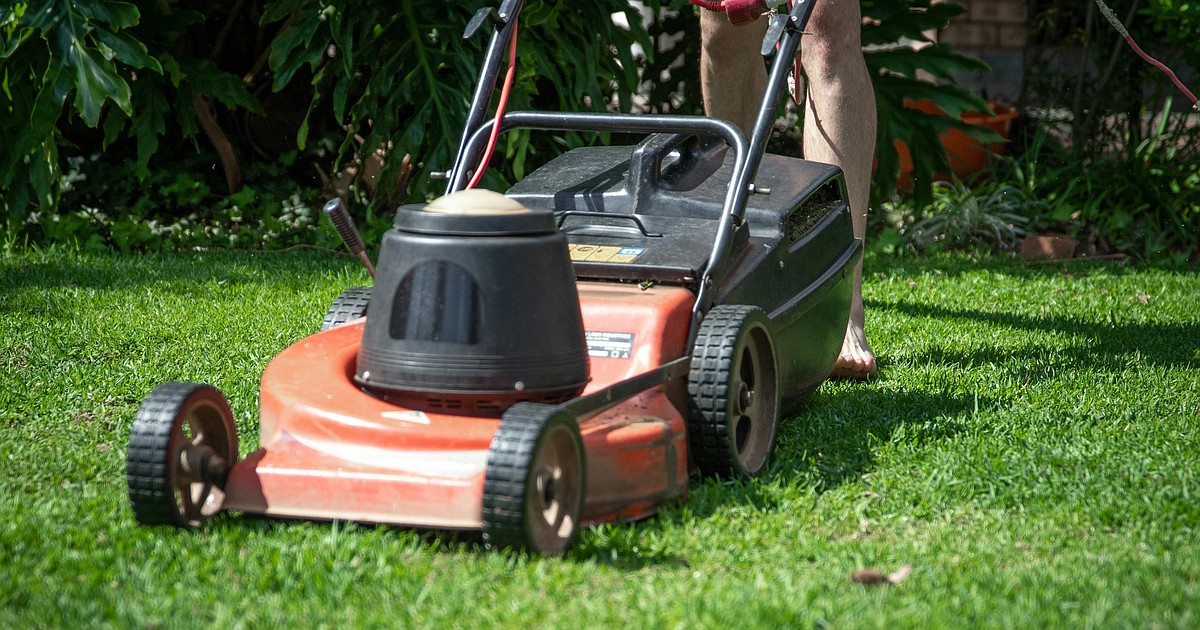Keep your lawn in shape this summer | Columbia Basin Herald