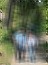 Some Tubbs Hill trails to close temporarily | Coeur d'Alene Press