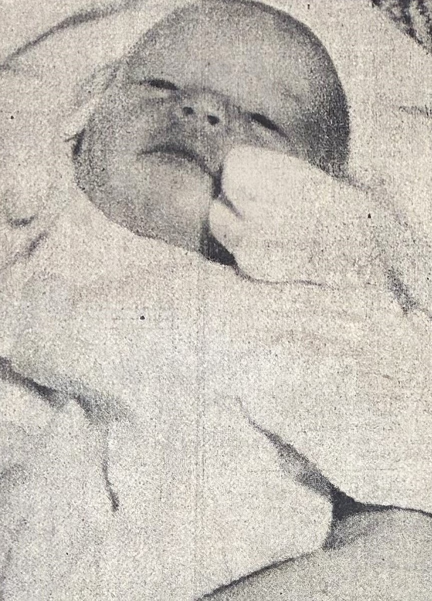 Unwanted baby badly wanted now; many offering homes to ‘Cookie’ | Coeur ...