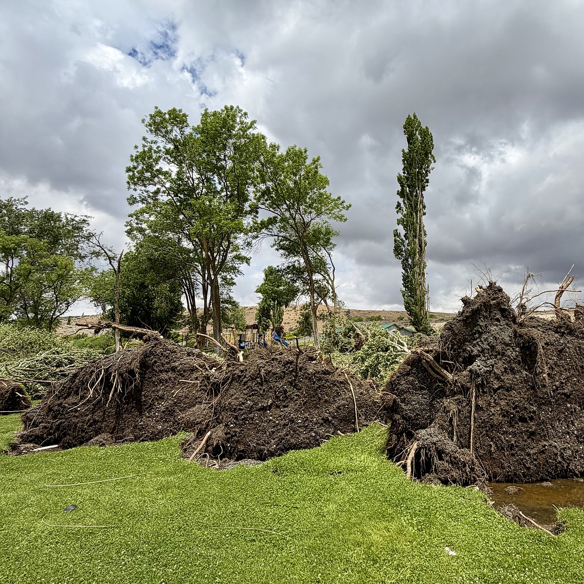 Connelly Park closed indefinitely after storm caused extensive damage ...