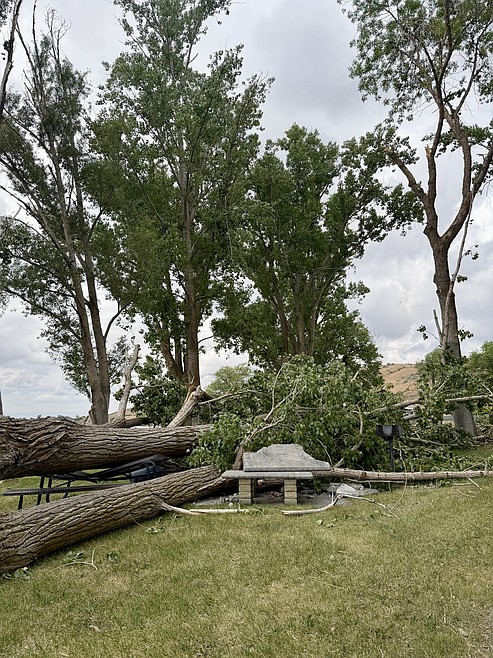 Connelly Park closed indefinitely after storm caused extensive damage ...