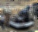 Couple rescued from boat mishap on North Fork | Shoshone News-Press