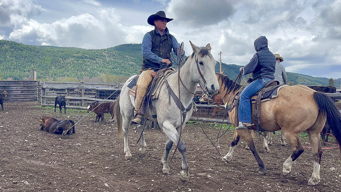 'Just a cowboy': After accident, Polson rancher navigates the unknown ...