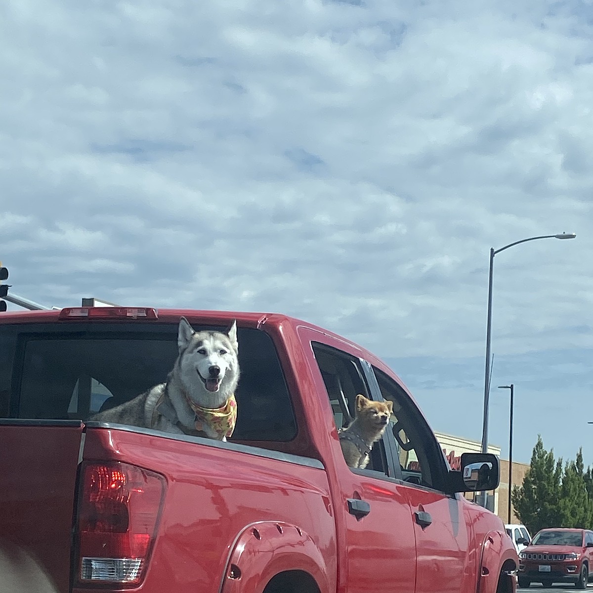 ON THE ROAD AGAIN | Columbia Basin Herald