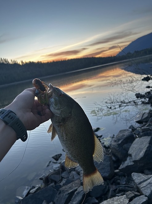 Idaho free fishing day 2026 | Bonner County Daily Bee