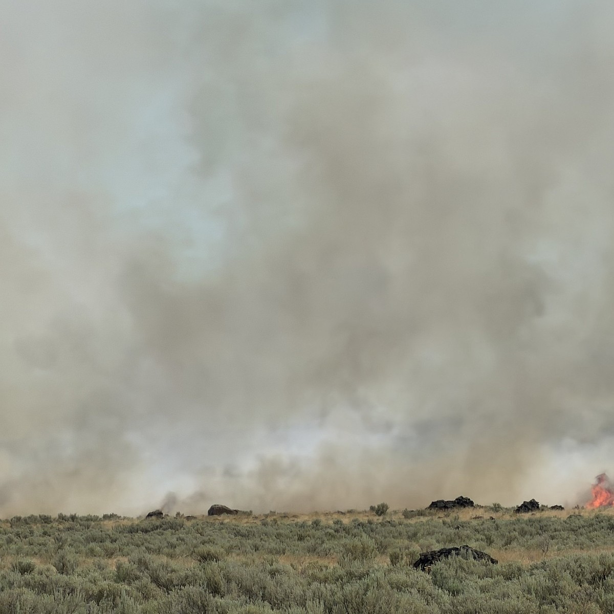 Vehicle crash ignites wildfire south of Soap Lake | Columbia Basin Herald