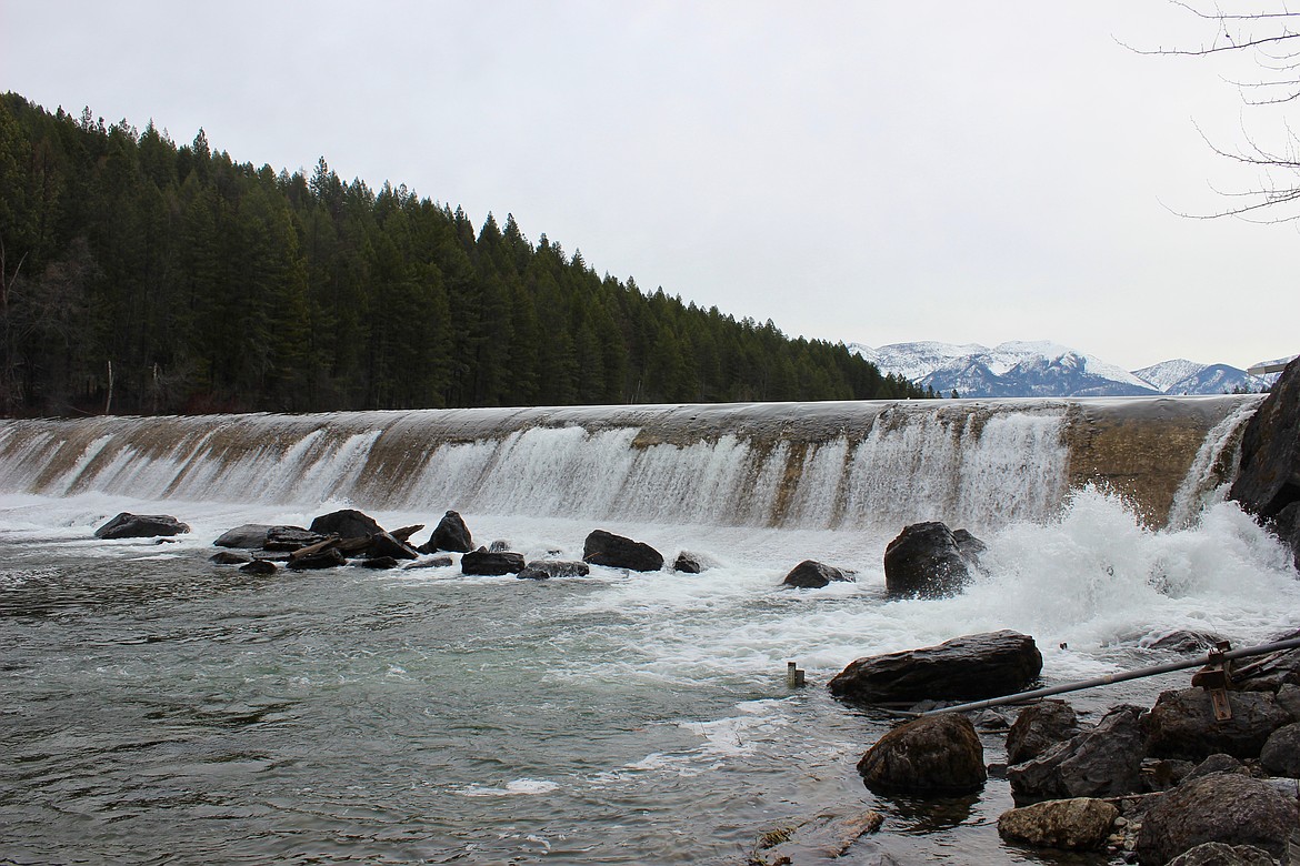 PacifiCorp announces intentions to dispose of Bigfork dam | Bigfork Eagle