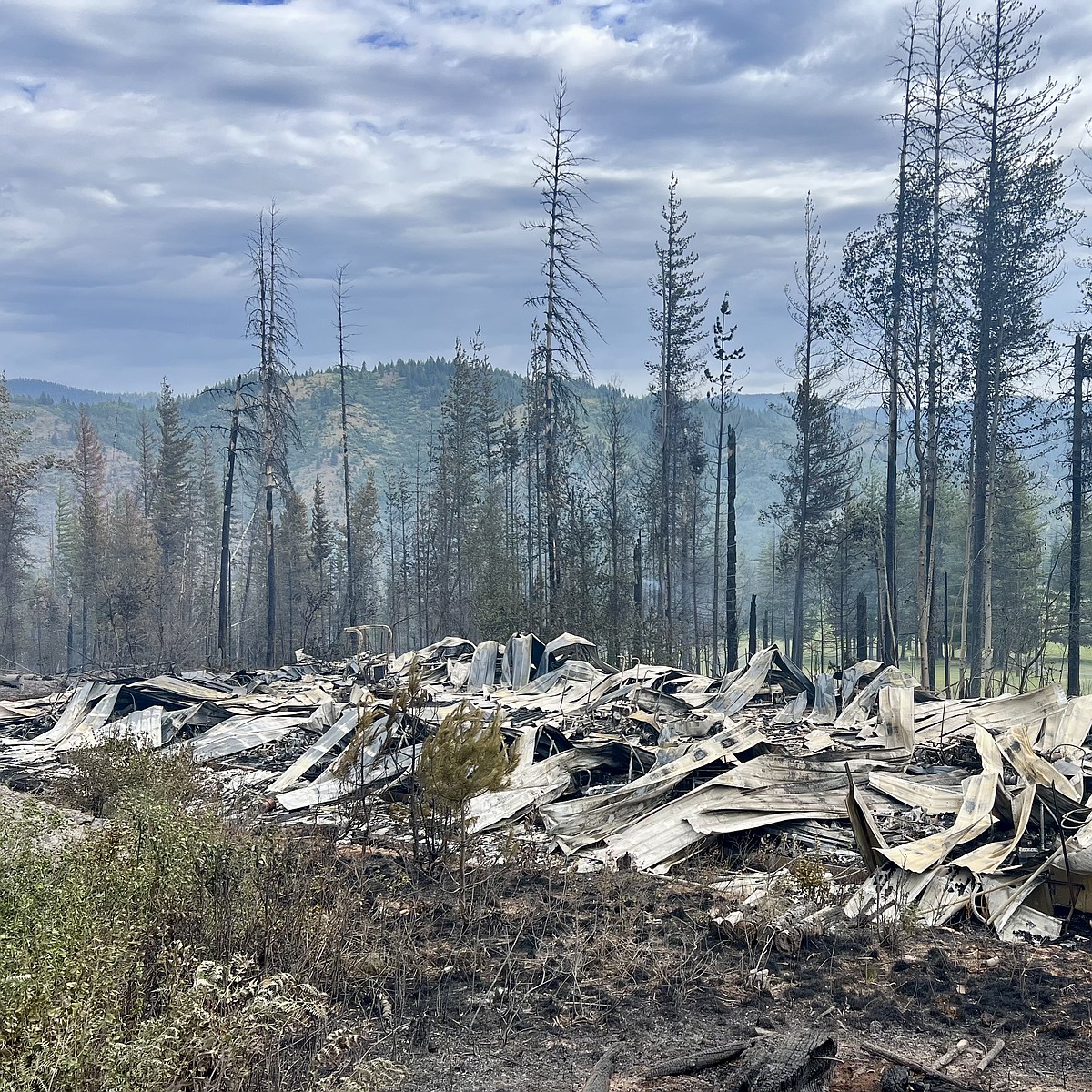 Gold Run Fire grows, 10% contained | Hagadone News Network