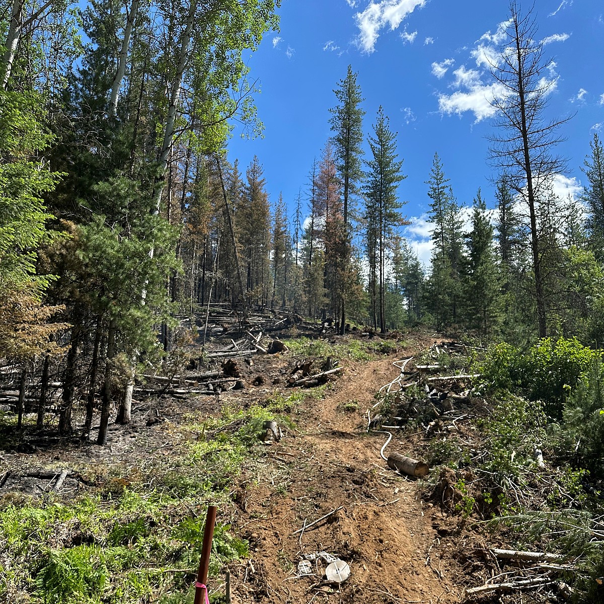 Progress continues on Gold Run Fire | Bonner County Daily Bee