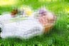Birth Announcement - Selah Joy Yoder | Western News