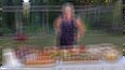 Pine Street Farm to Table sets July 18 return | Bonner County Daily Bee